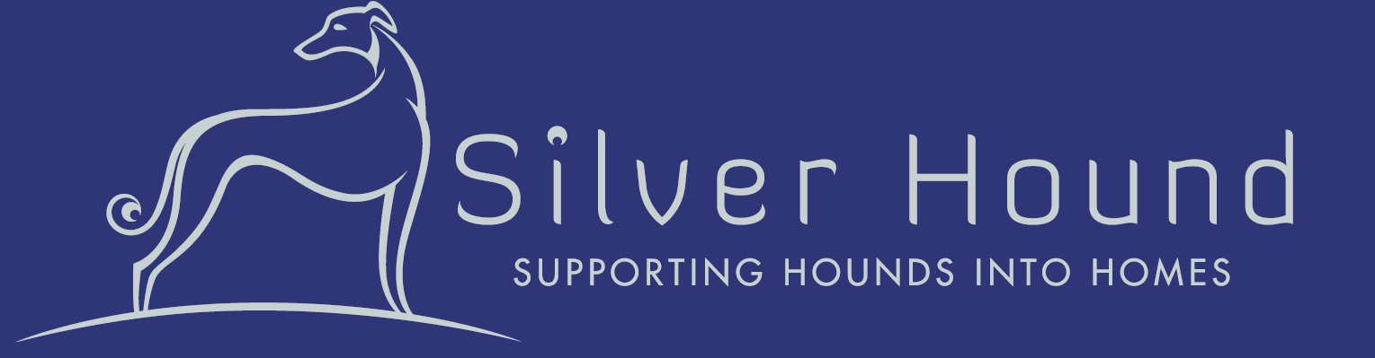 Silver Hound